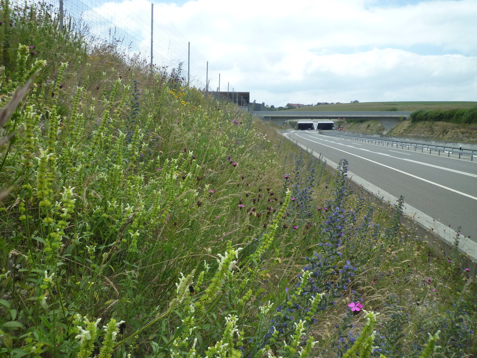 Relevés et cartographie de la végétation sur les talus d'autoroute ...